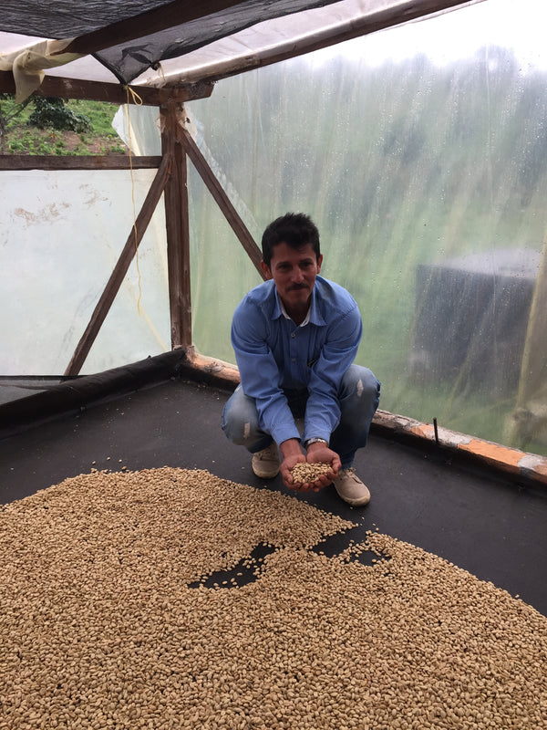 Introducing Luis Anibal Calderon: Extended Fermentation Honey Process ...