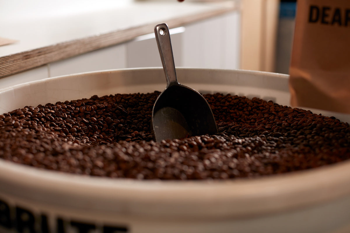 Collections - Dear Green