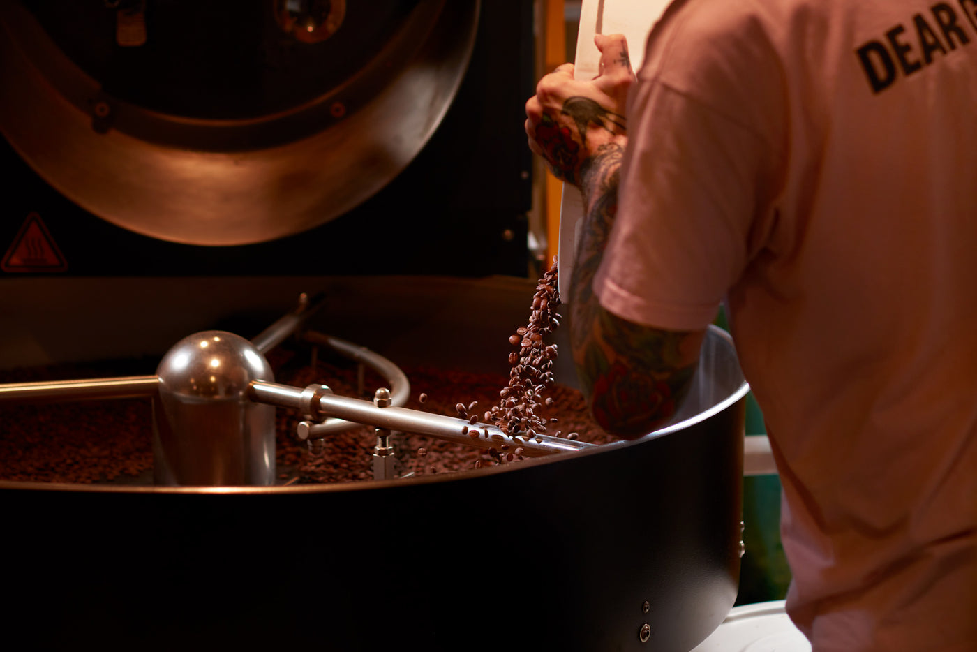 Wholesale Coffee Beans | Roasted by Dear Green, Glasgow