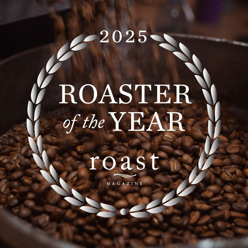 Wholesale Coffee Beans | Roasted by Dear Green, Glasgow